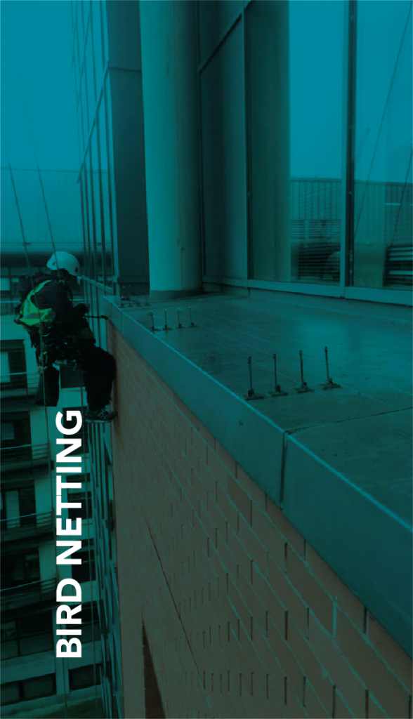 High Torque – Rope Access Solutions